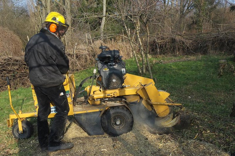 Stubbenfräse – NABU Seeheim-Jugenheim