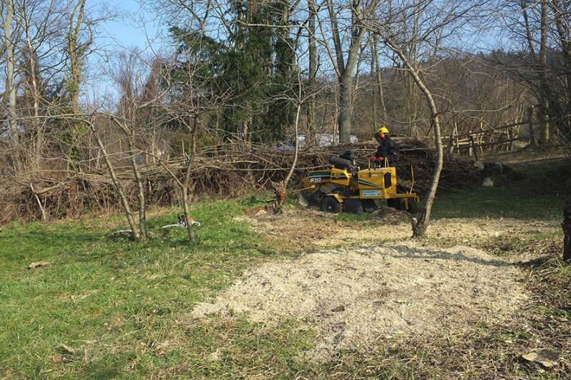 Stubbenfräse – NABU Seeheim-Jugenheim