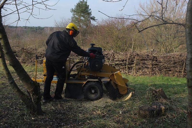 Stubbenfräse – NABU Seeheim-Jugenheim