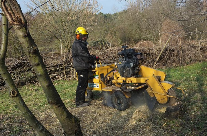 Stubbenfräse – NABU Seeheim-Jugenheim